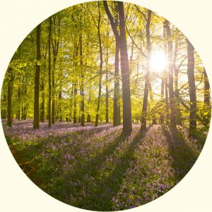 Joseph C Roberts Independent Family Funeral Directors in Harrogate